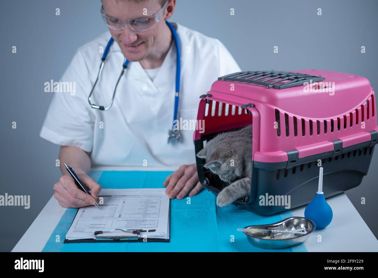 British cat in hospital hi-res stock photography and images - Alamy