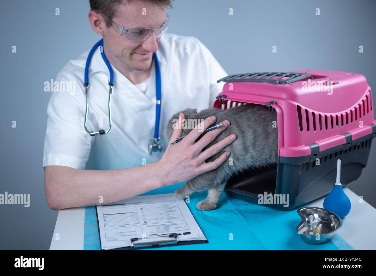 Cat in pet carrier on examination table of veterinarian clinic with pet ...
