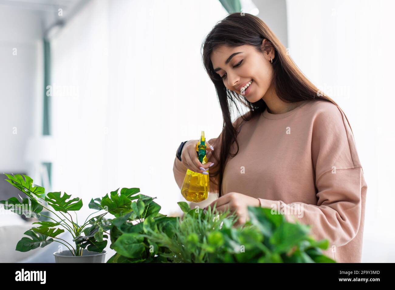 Woman spraying home plant with pure water from spray bottle Stock Photo ...