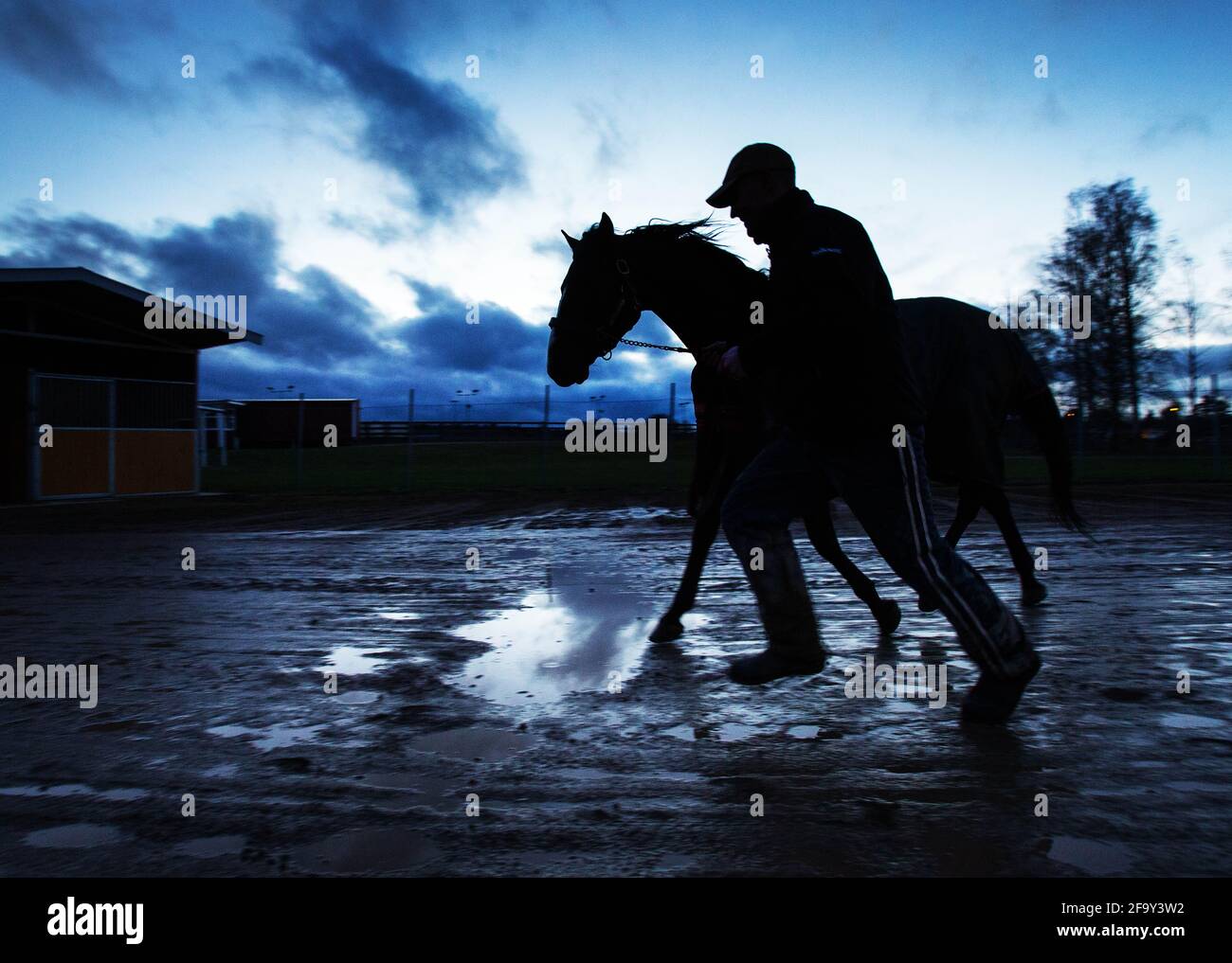 A trotting trainer with a trotting horse Stock Photo - Alamy
