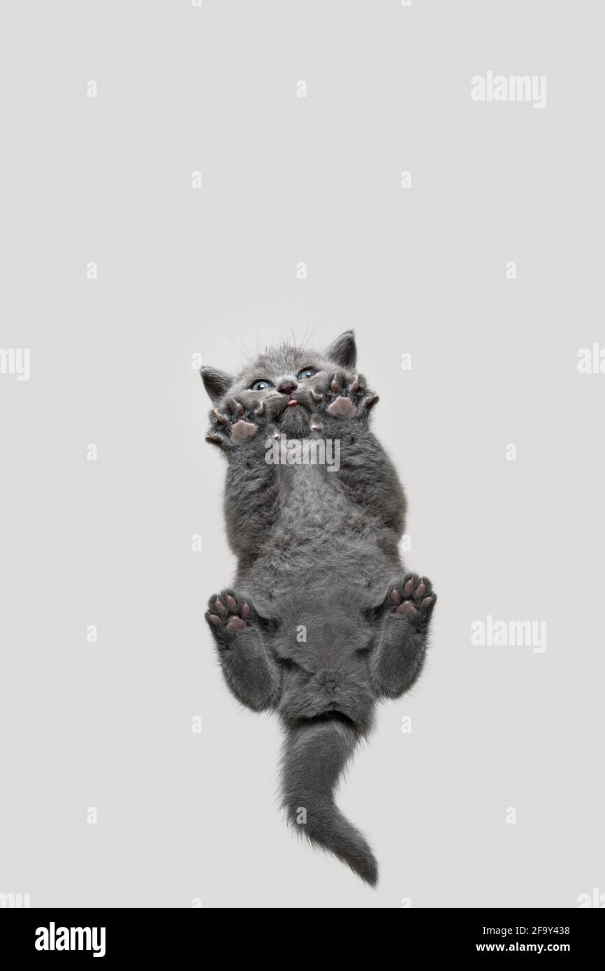 Underview hi-res stock photography and images - Alamy