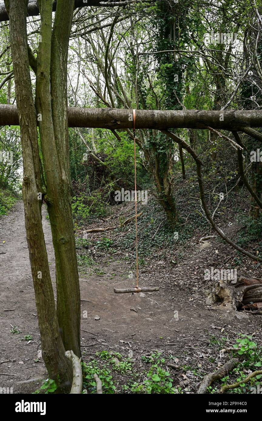 Fallen tree being used as a swing hi-res stock photography and images ...