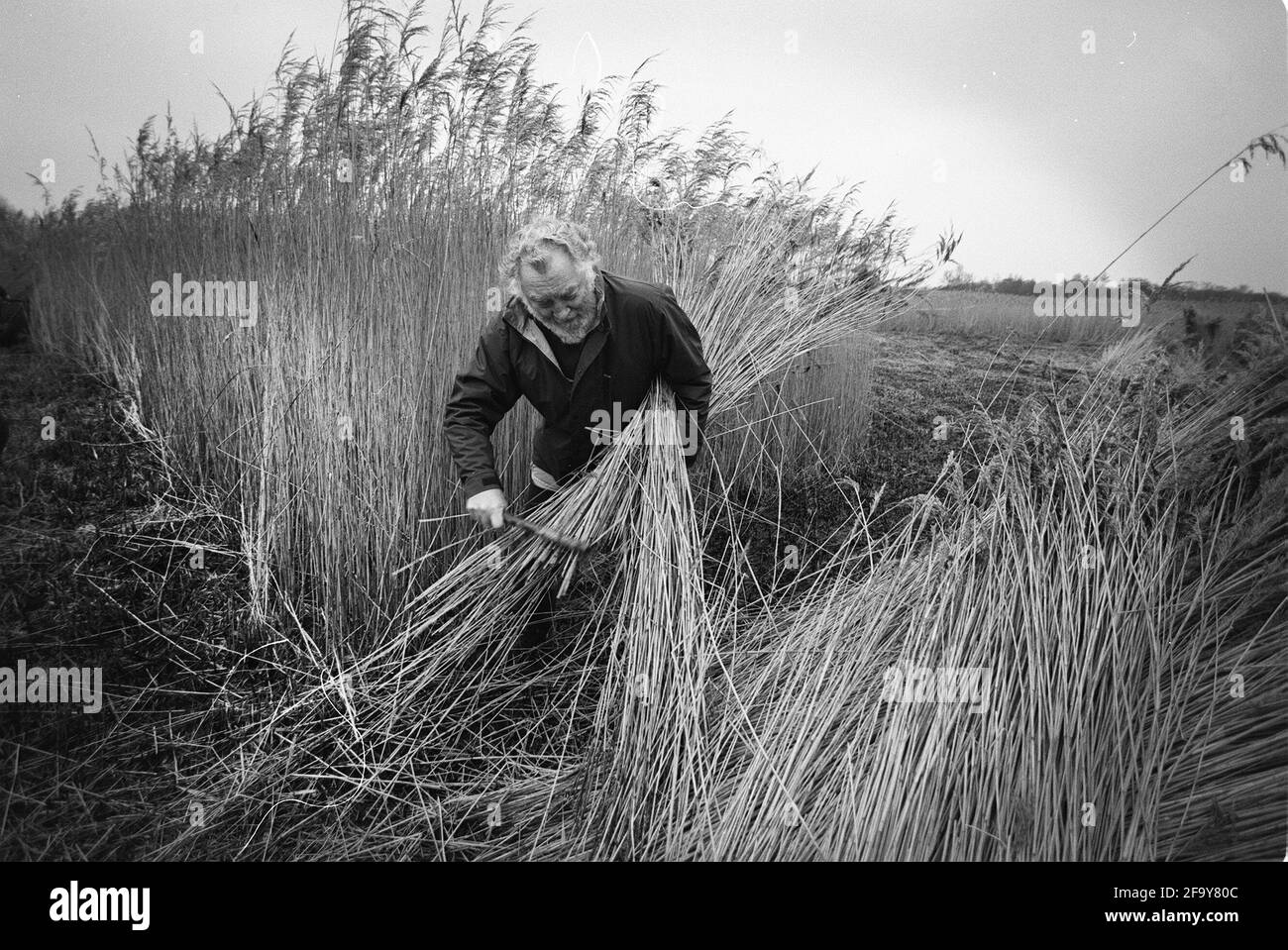 David reed hi-res stock photography and images - Alamy