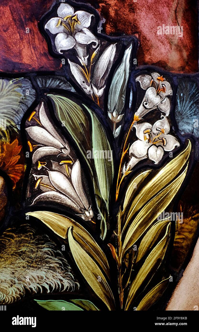 stained glass window of white lily flowers, st andrew church, brinton ...
