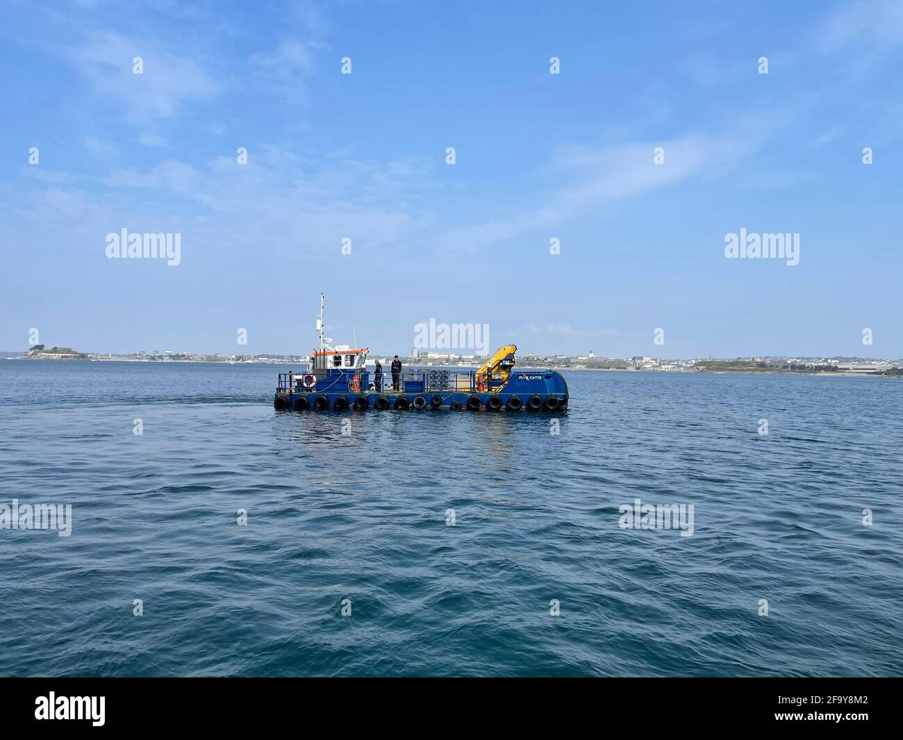 The team on the Plym Catte tender helping to plant four hectares of the ...