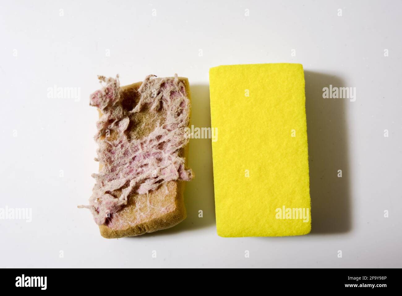 Old sponge hi-res stock photography and images - Alamy