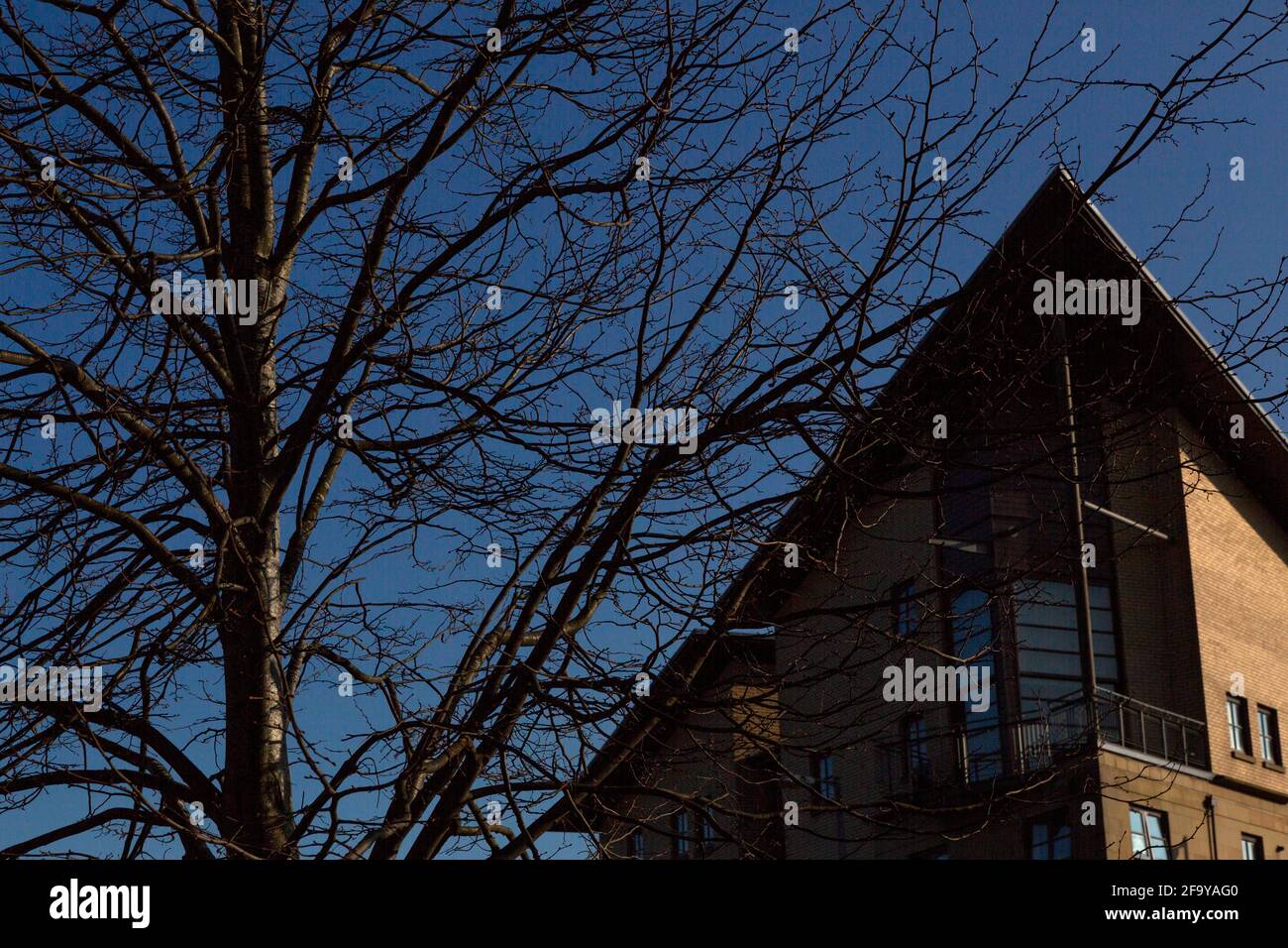 New gorbals hi-res stock photography and images - Alamy