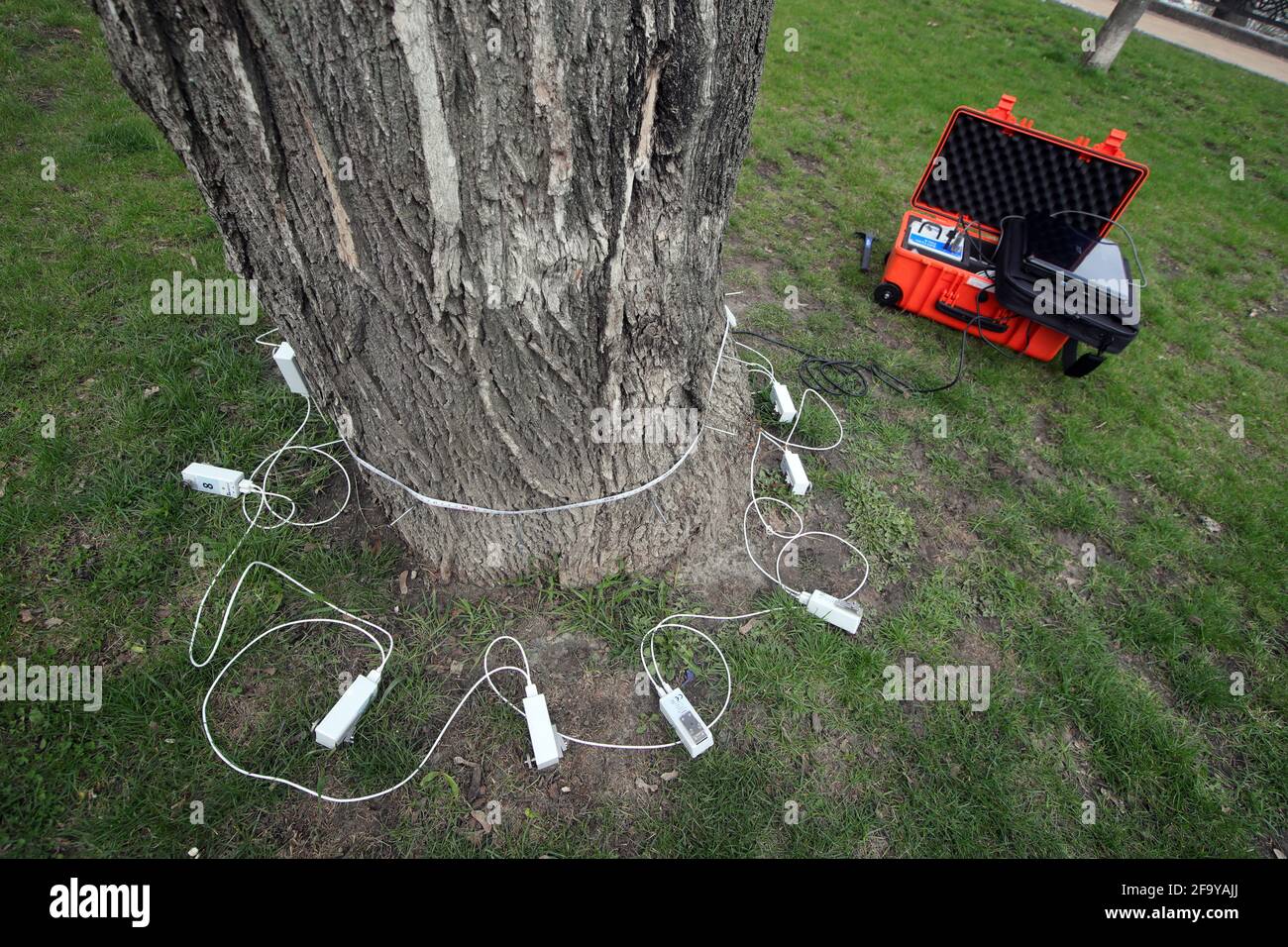 Arbotom hi-res stock photography and images - Alamy