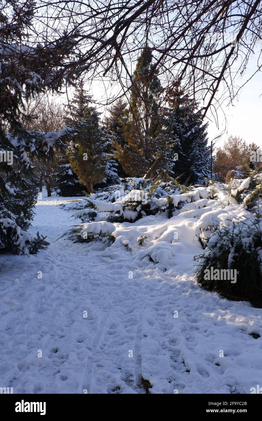 Cool under trees hi-res stock photography and images - Alamy