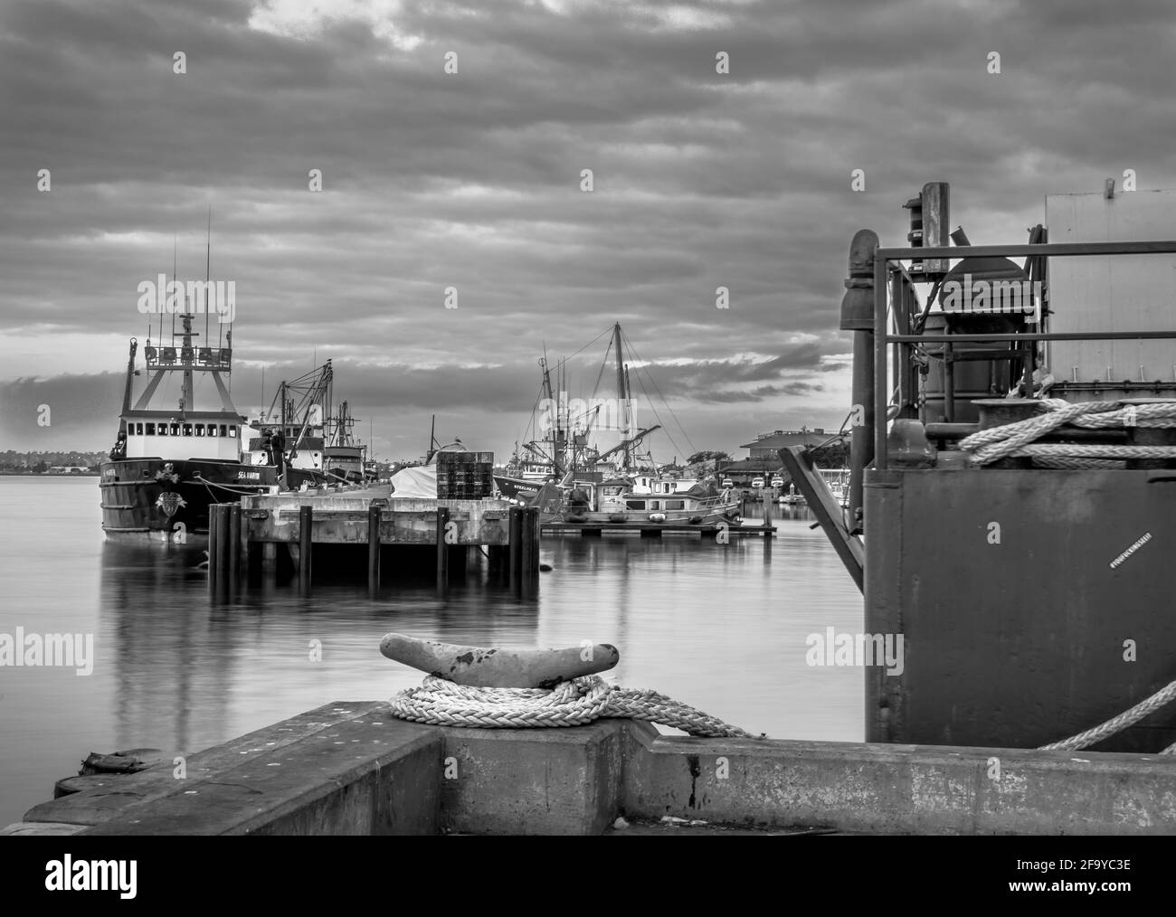San diego california coast Black and White Stock Photos & Images - Alamy