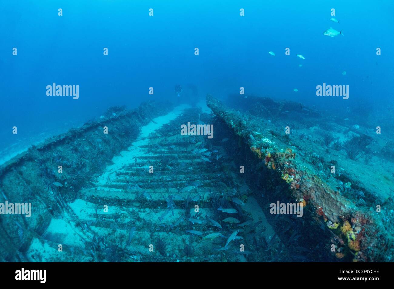 Scuba diving and wreck hi-res stock photography and images - Alamy