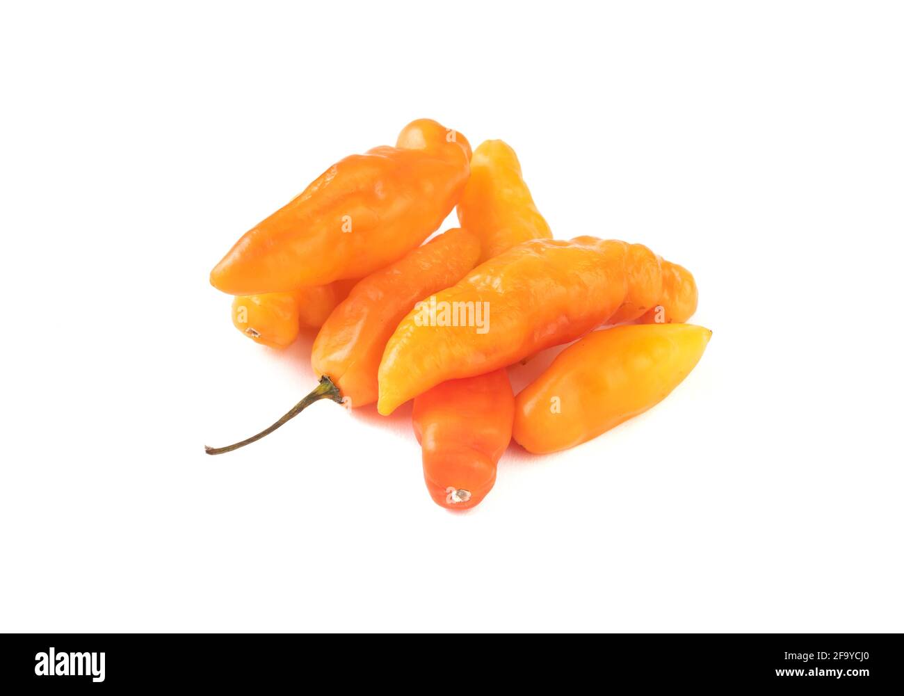 Orange cheiro (smell) peppers isolated over white background. Typical ...