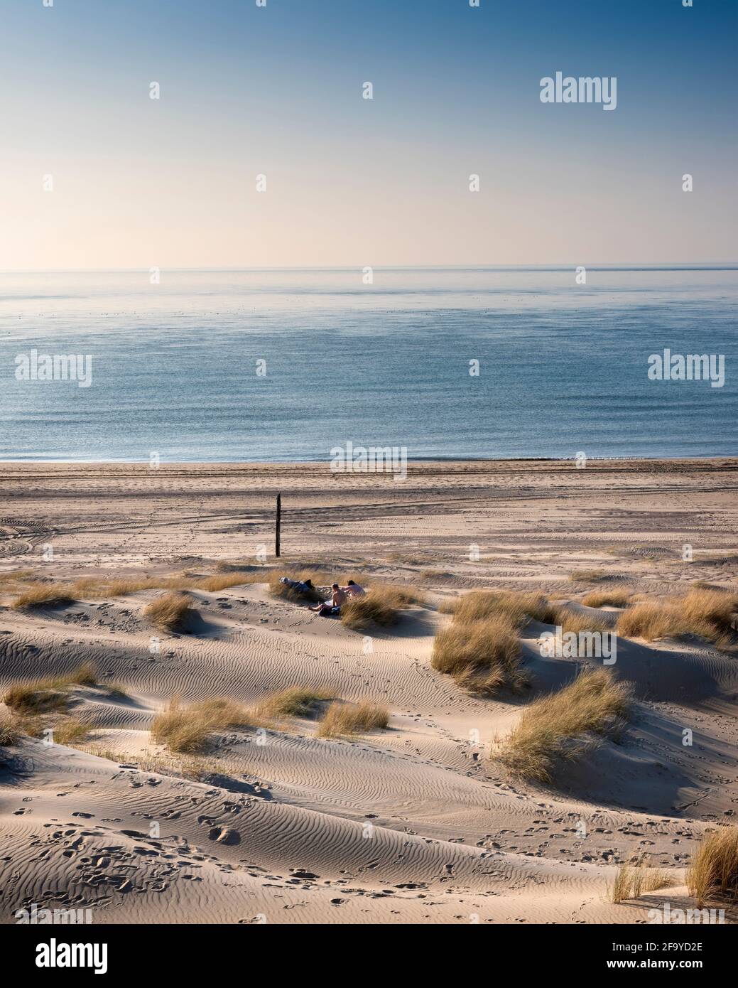 dunes and almost deserted beach on dutch coast near renesse in zeeland ...