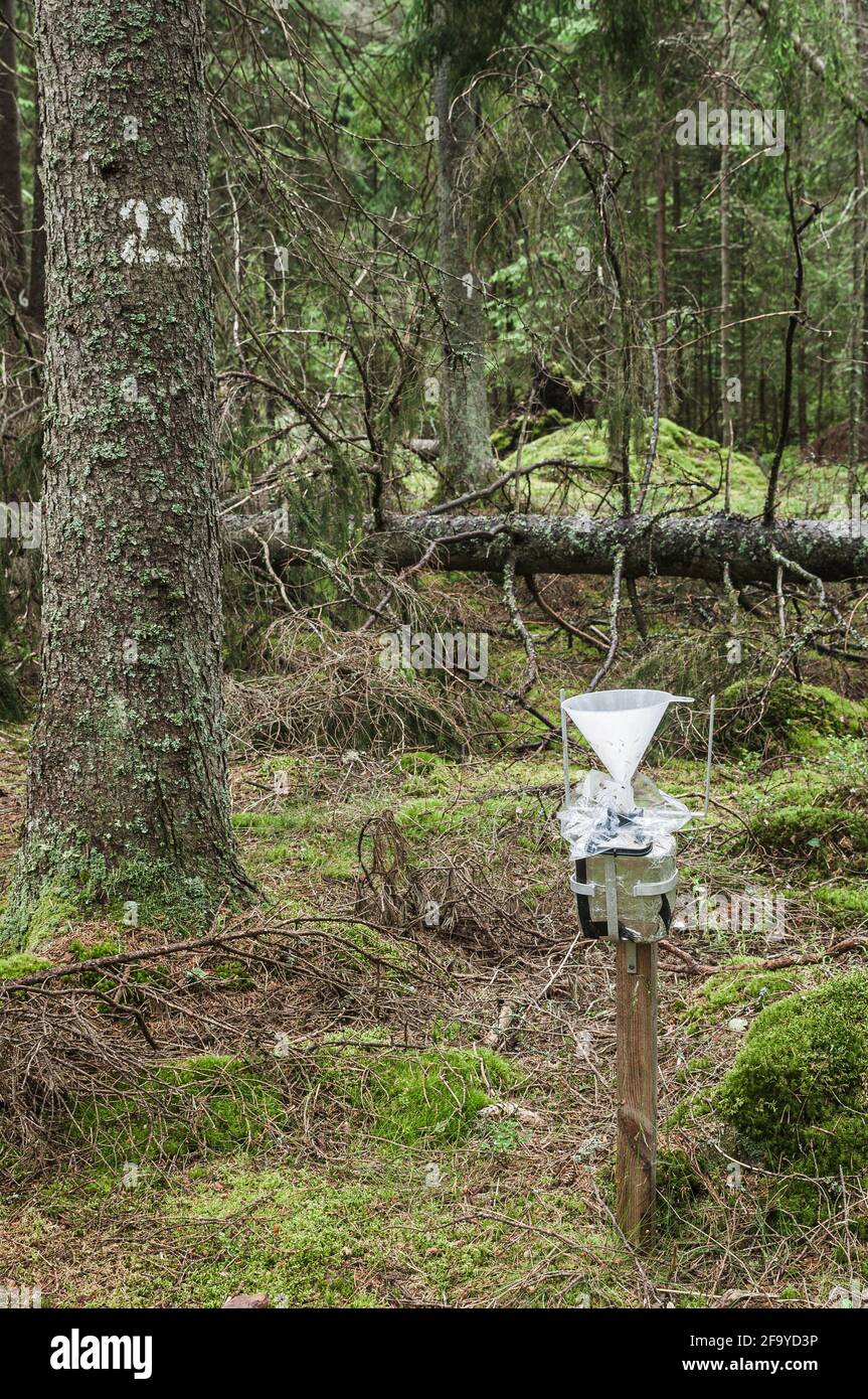 Meter wood in the forest hi-res stock photography and images - Alamy