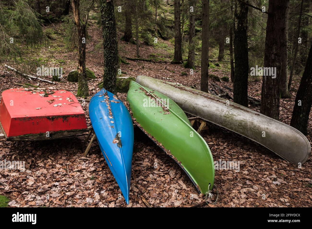 Swedish canoes hi-res stock photography and images - Alamy