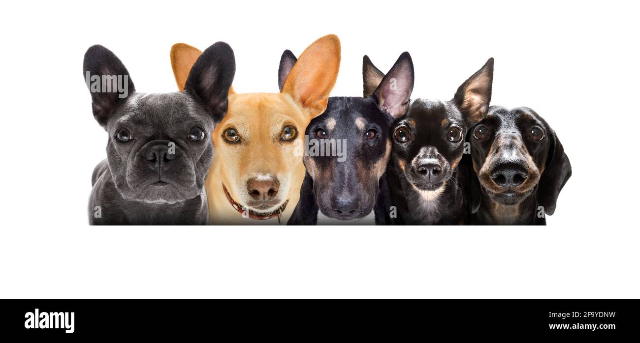 Row wait Cut Out Stock Images & Pictures - Alamy