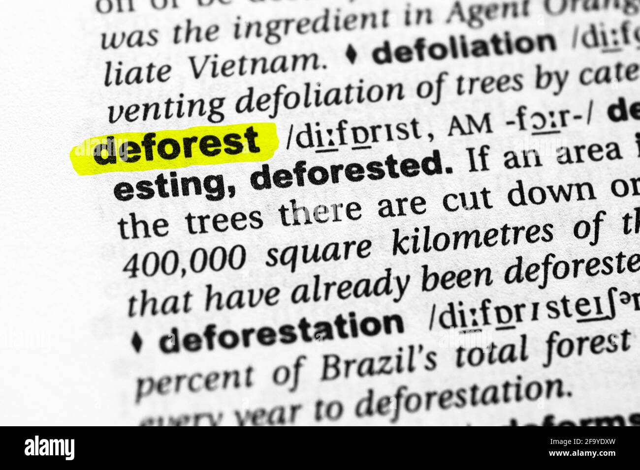 Deforestation Word High Resolution Stock Photography and Images - Alamy