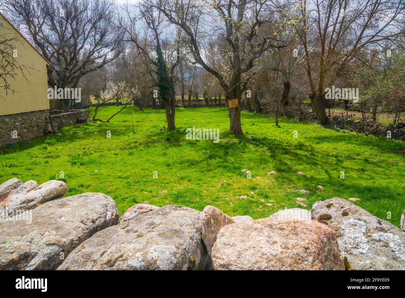 Garden. Alameda el Valle, Madrid province, Spain Stock Photo - Alamy