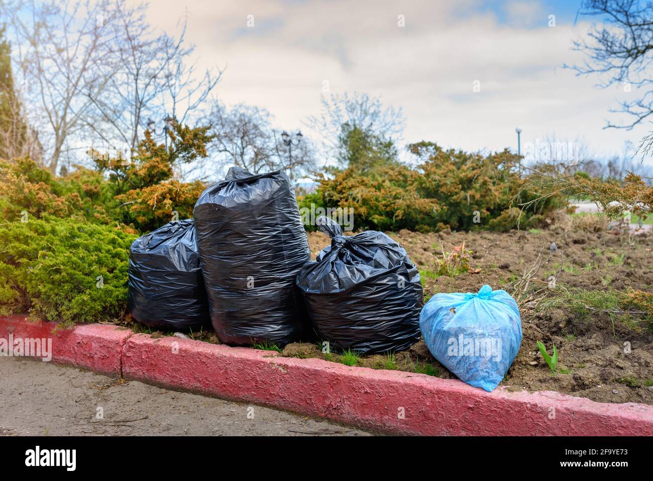 Black plastic bag tree hi-res stock photography and images - Alamy
