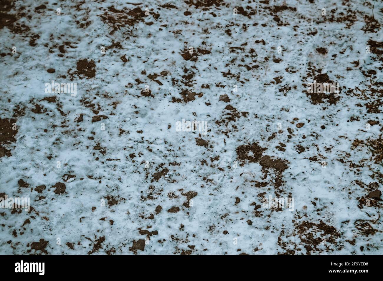 Cold winters day walk hi-res stock photography and images - Alamy