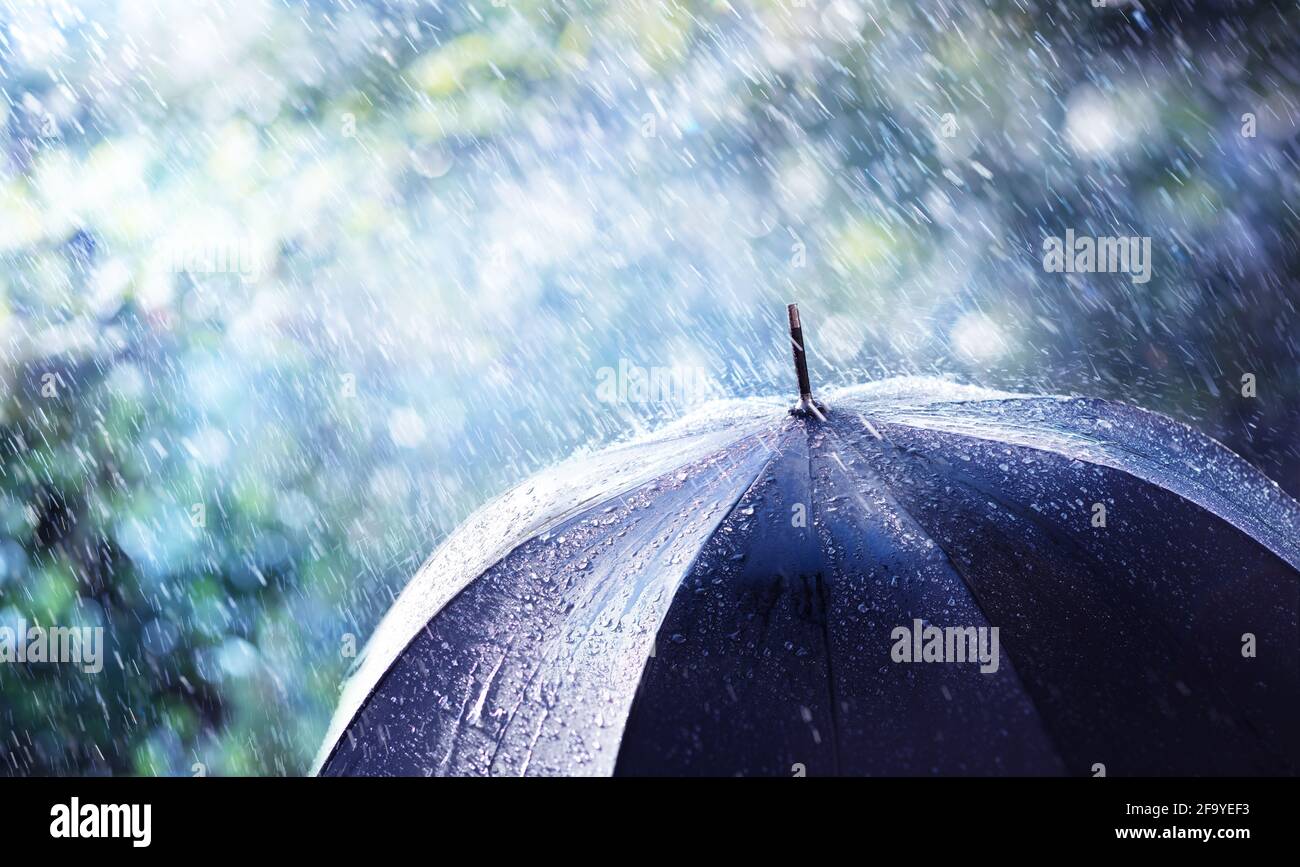 Rain on umbrella hi-res stock photography and images - Alamy