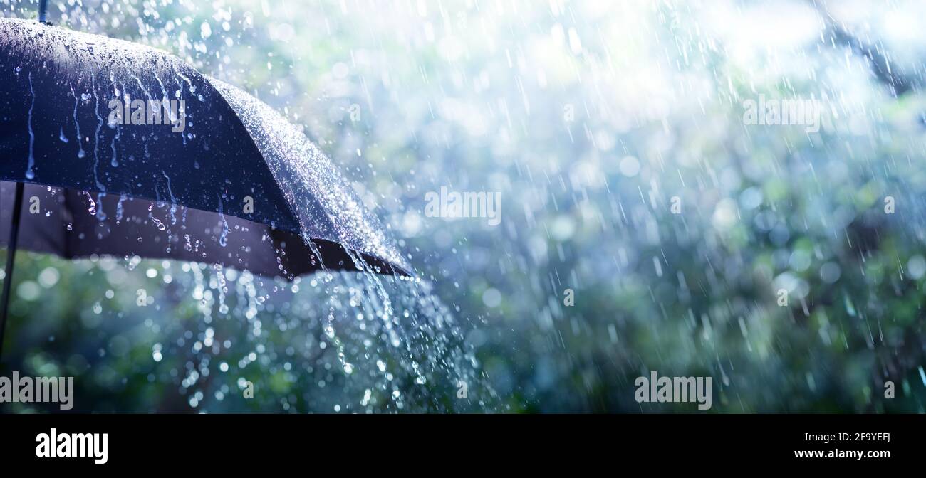 Rain On Umbrella - Weather Concept Stock Photo - Alamy
