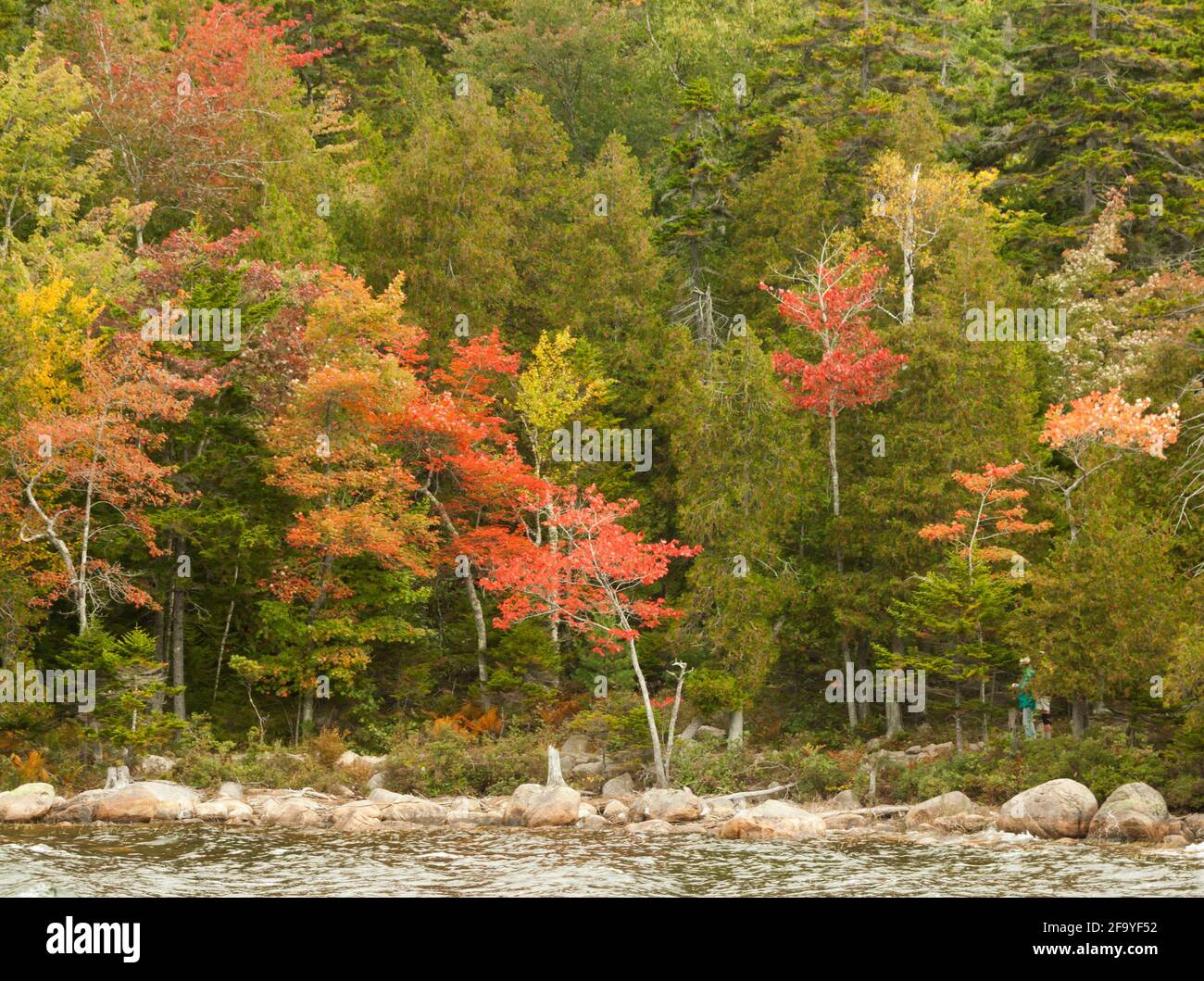 Acadia national park autumn hi-res stock photography and images - Alamy