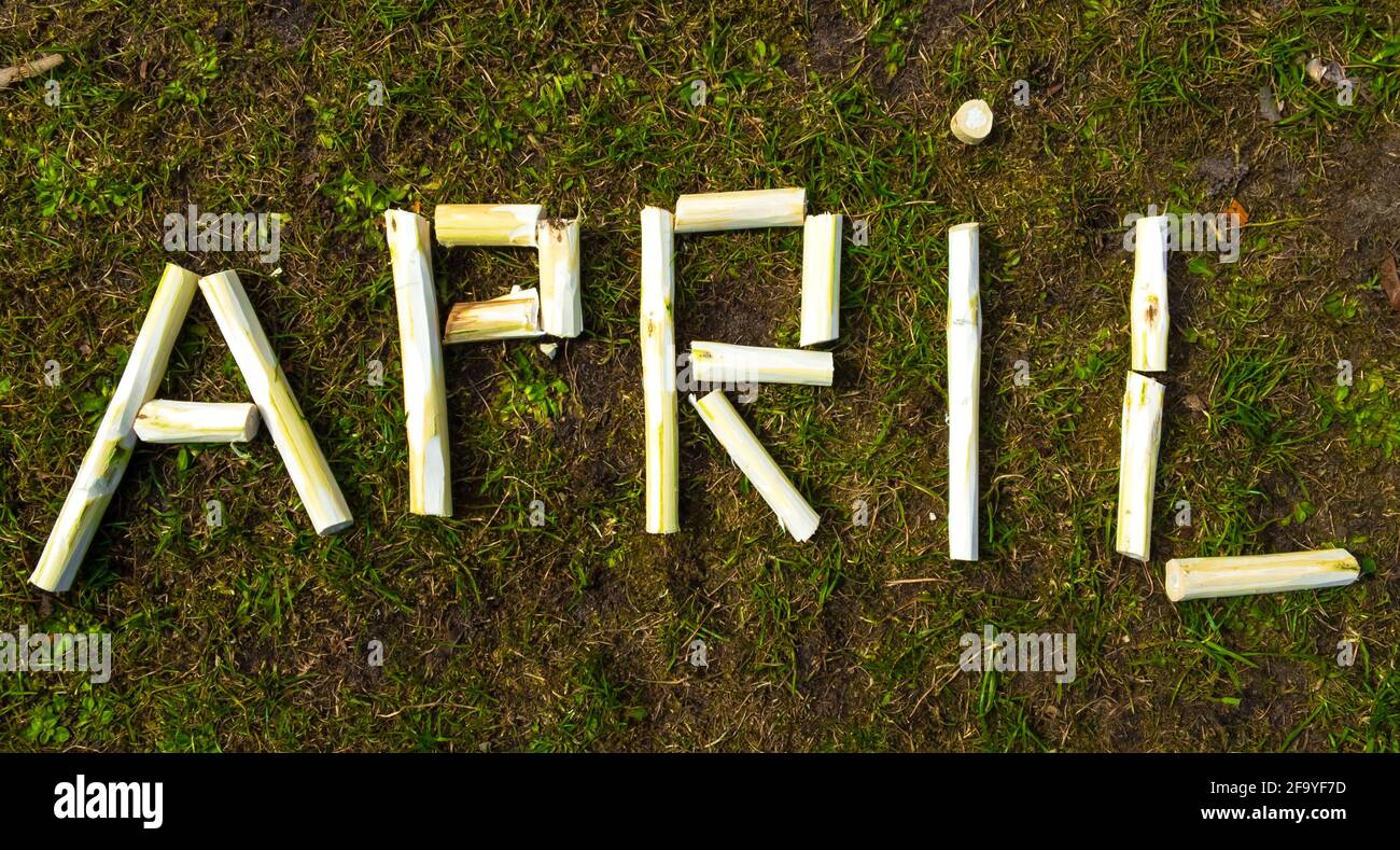 Word APRIL made of wooden sticks on a grassy ground Stock Photo - Alamy