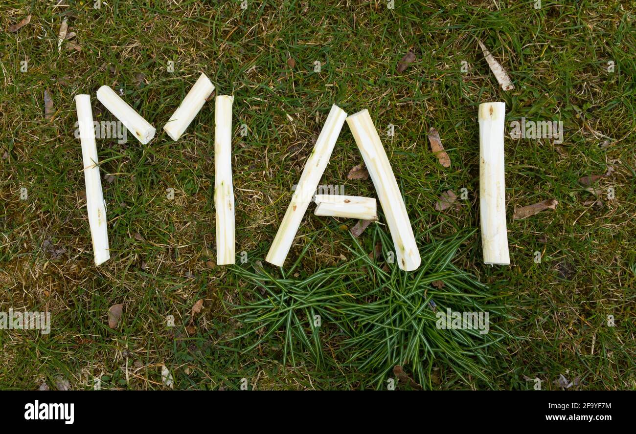 Mai letter hi-res stock photography and images - Alamy