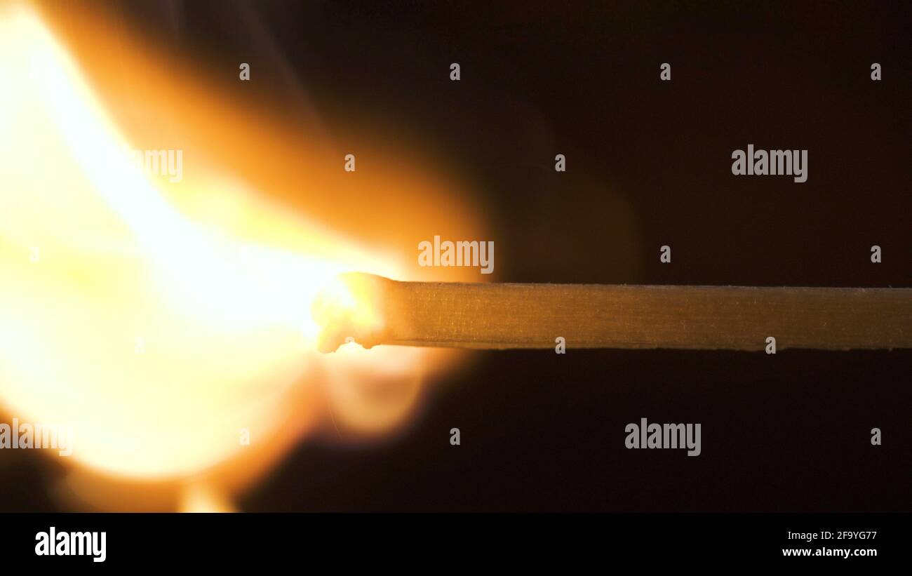 Thin wood stick hi-res stock photography and images - Alamy