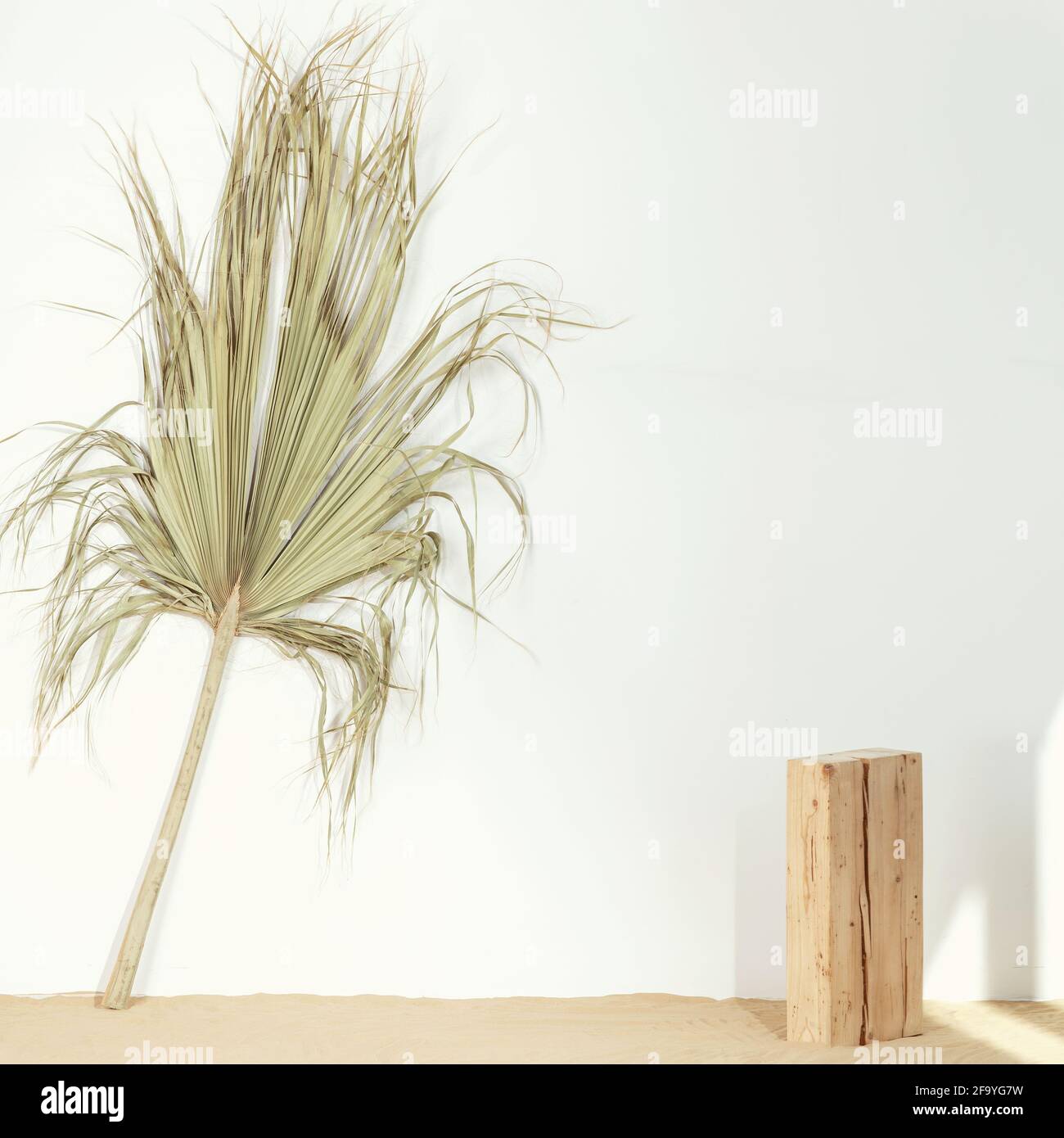 Abstract palm leaf on beach sand holiday seaside background in earth ...