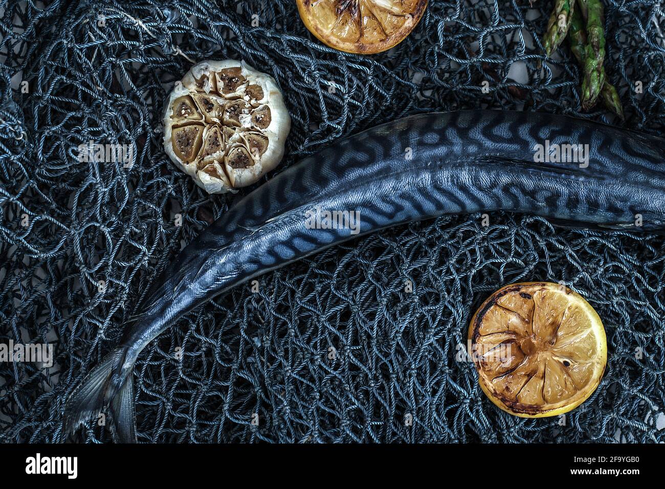 Raw fish Atlantic mackerel uncooked on fishing net background with ...