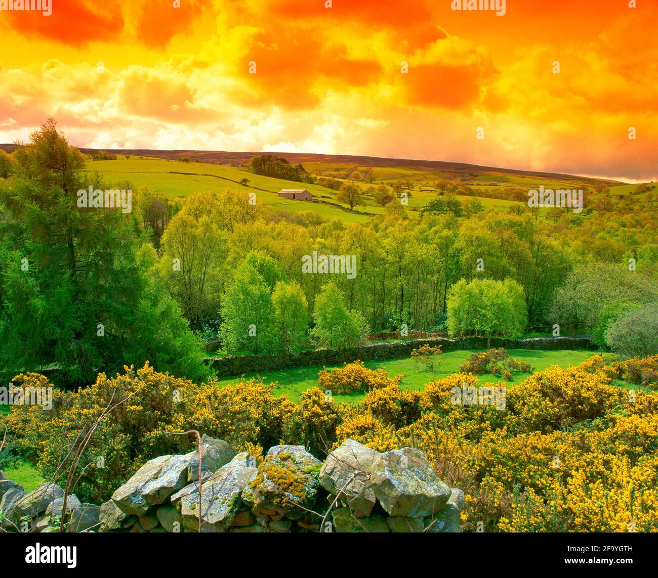 Littledale hi-res stock photography and images - Alamy