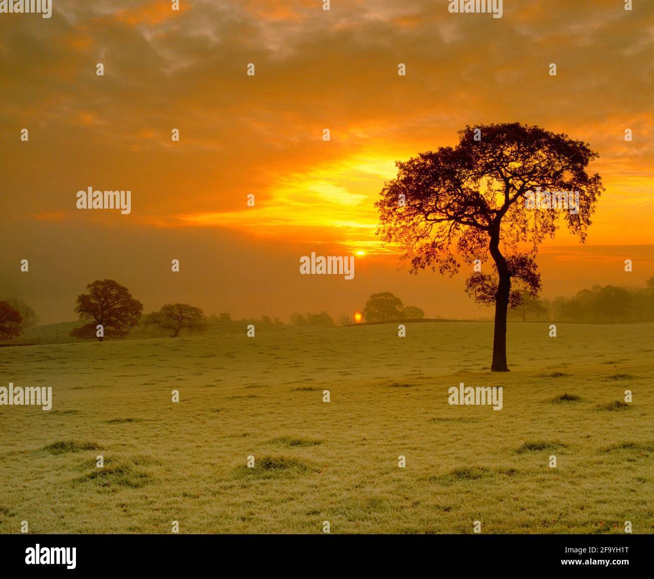 Rostherne hi-res stock photography and images - Alamy