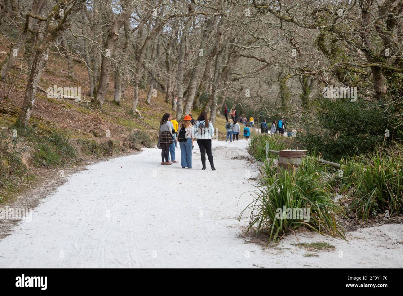 Gweek, Cornwall, 21st April 2021, Visitors return to the Cornish Seal ...