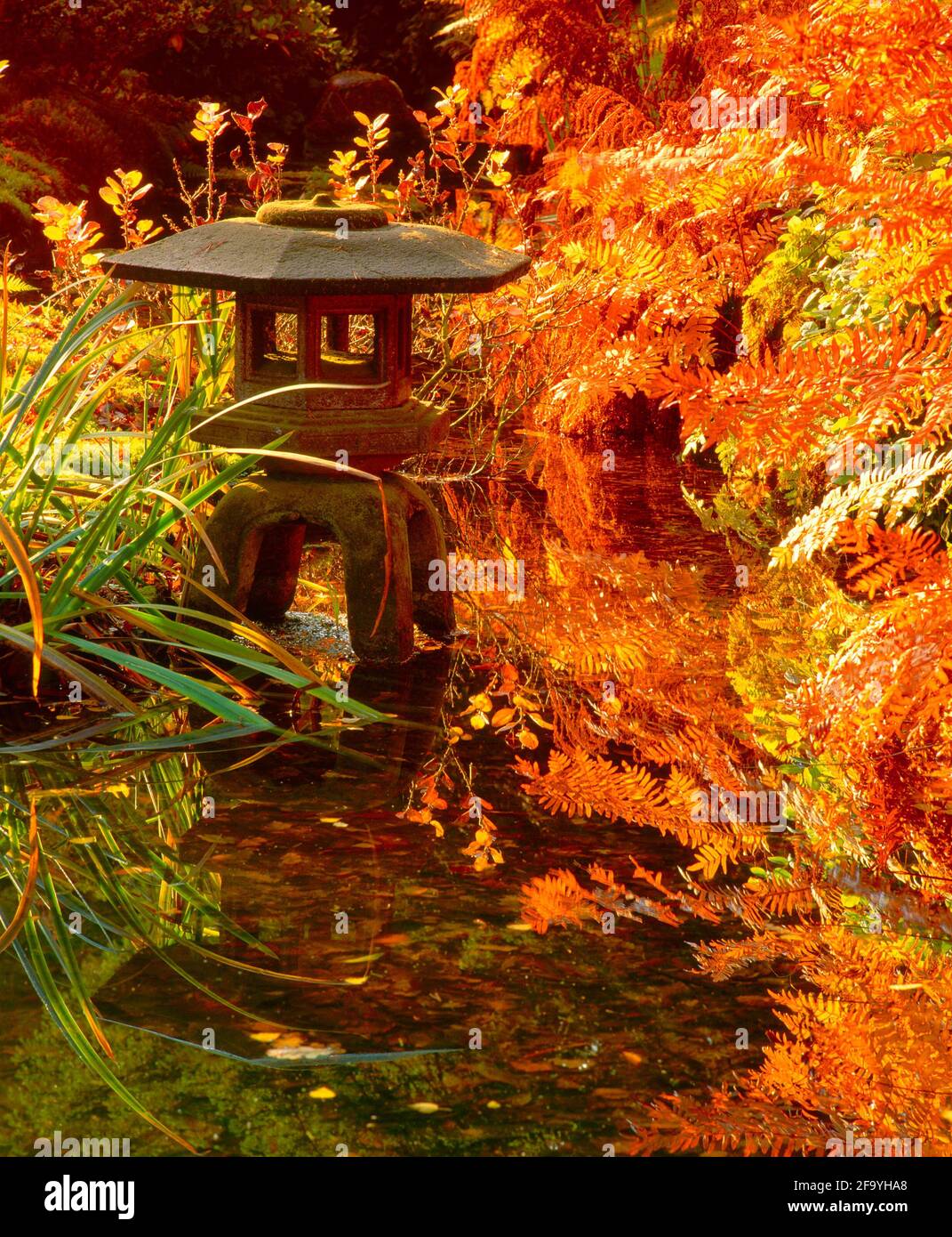 Tatton park japanese garden hi-res stock photography and images - Alamy