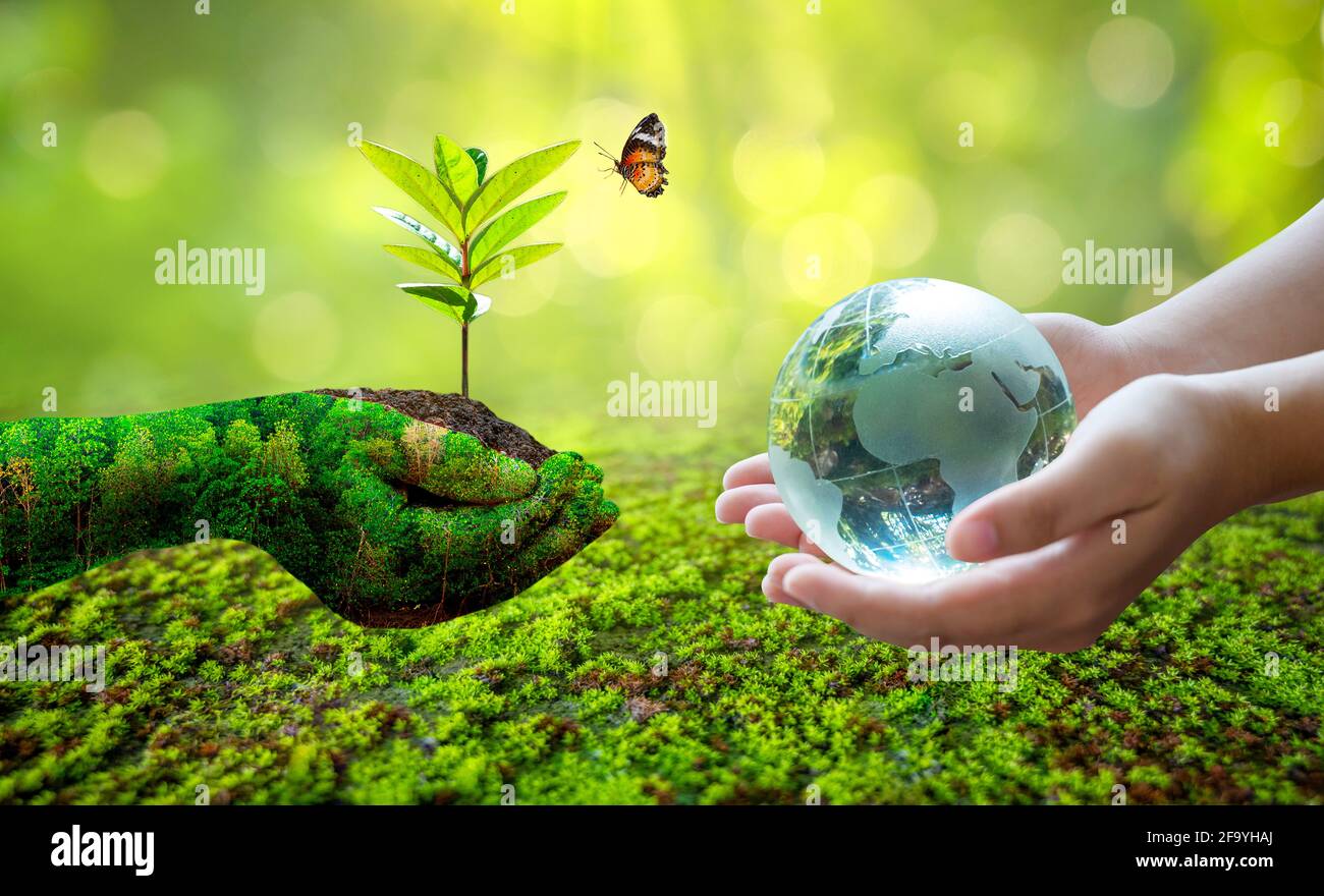 Concept Save the world save environment The world is in the grass of ...