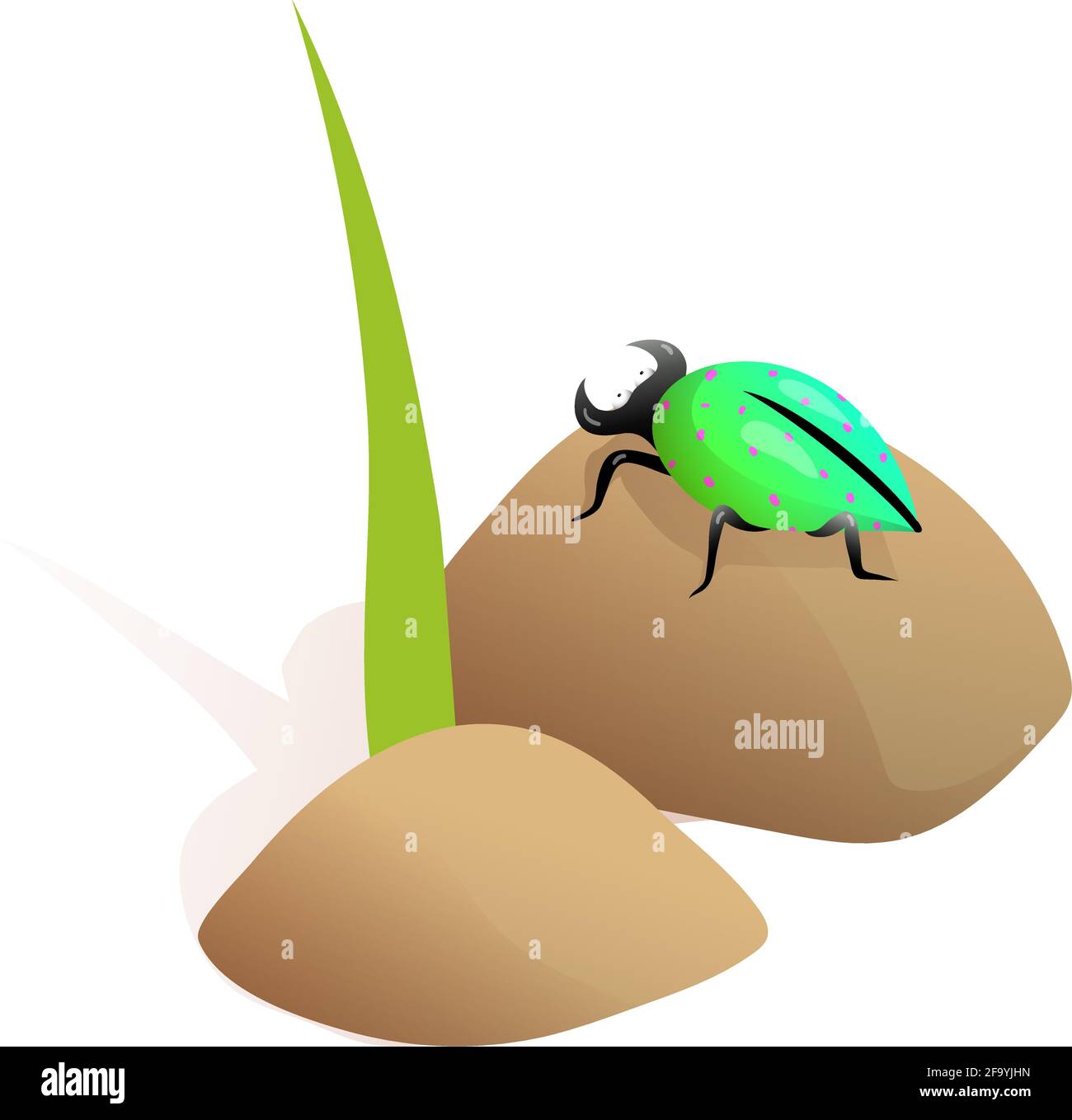Cartoon beetle hi-res stock photography and images - Alamy