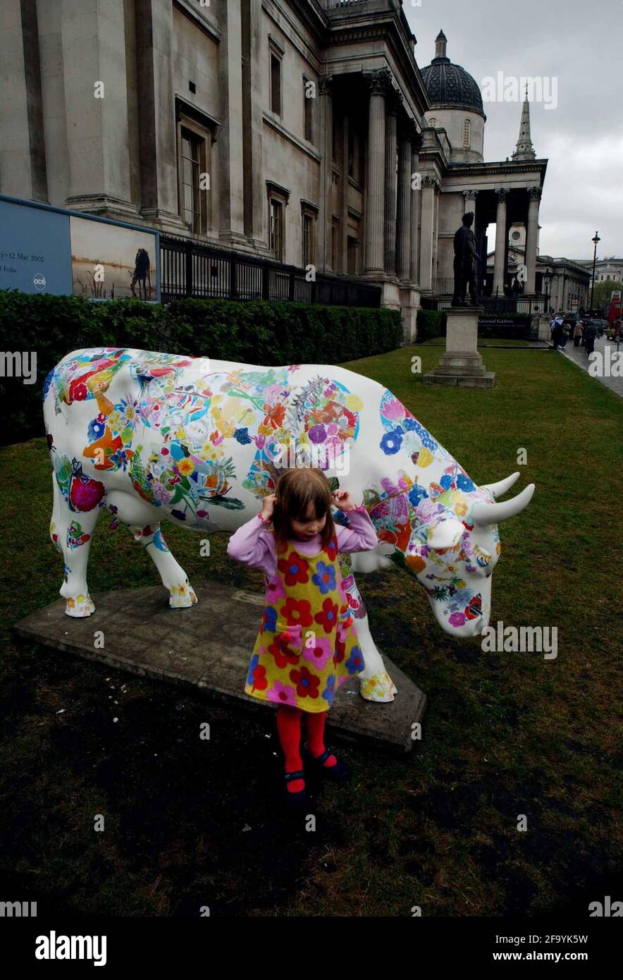 Daisy the cow hi-res stock photography and images - Alamy