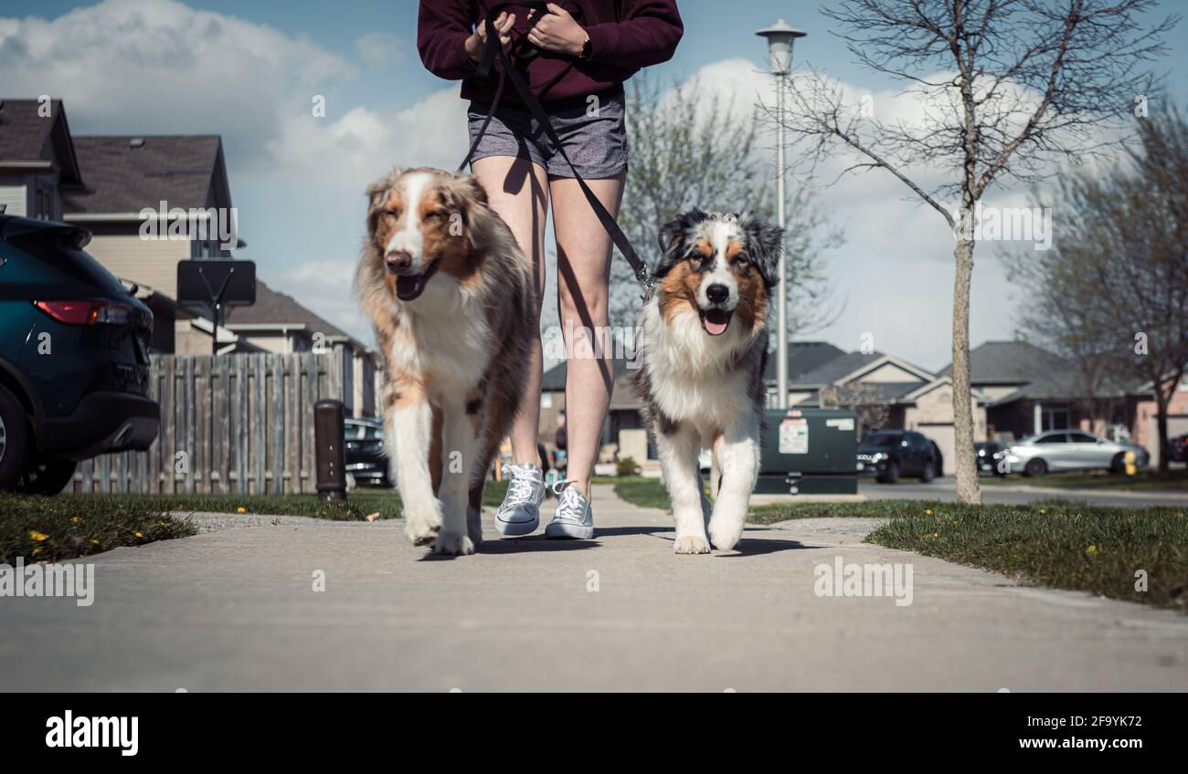 Spring day Activities during lockdown Stock Photo - Alamy