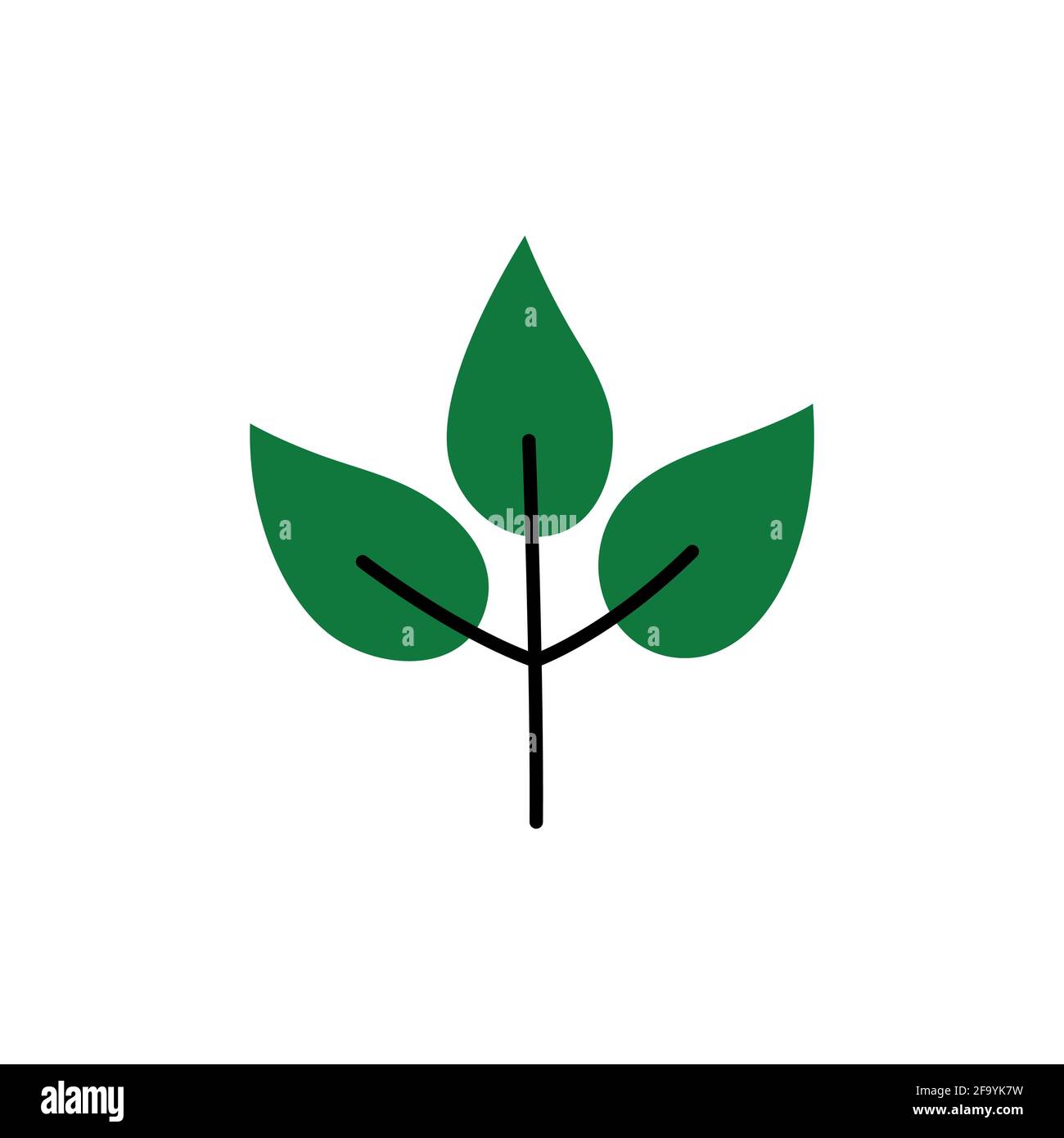 Eco leaves, logo, icon, template and design elements on white isolated ...
