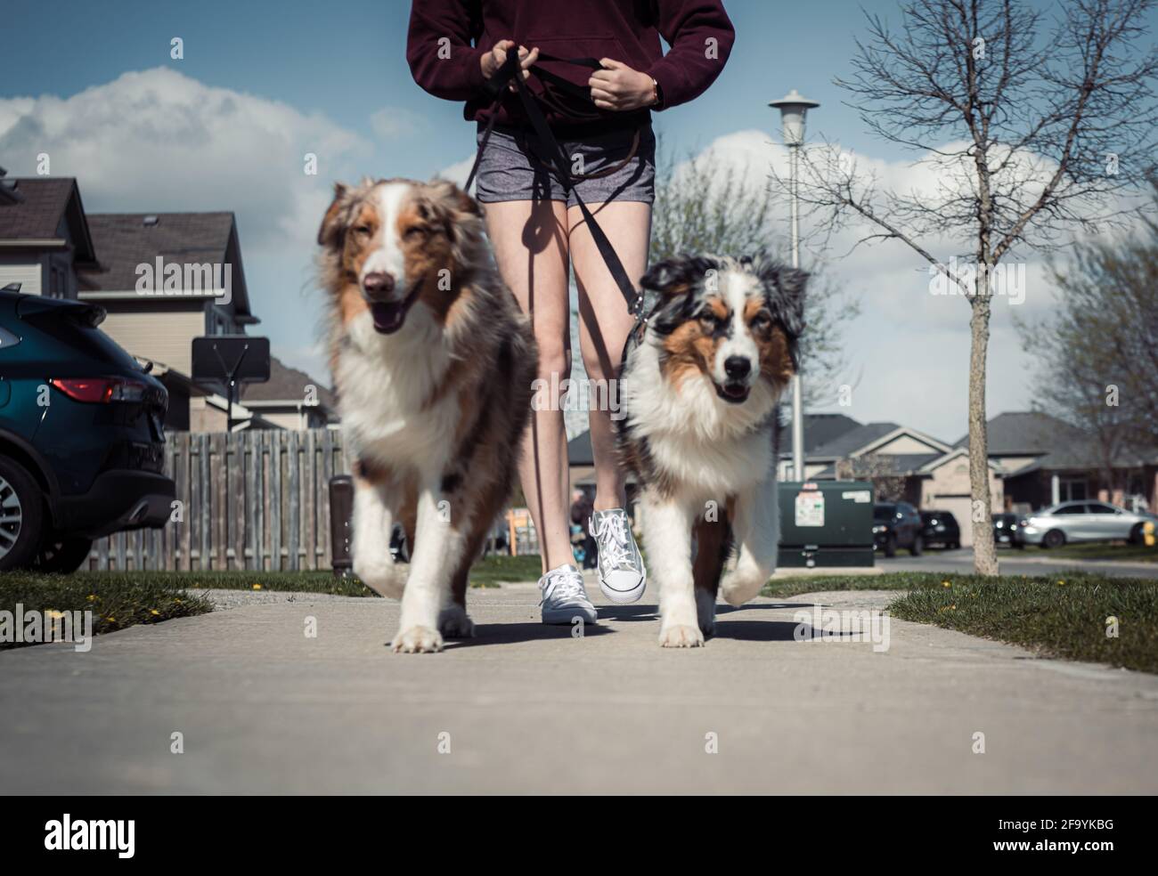 Spring day Activities during lockdown Stock Photo - Alamy
