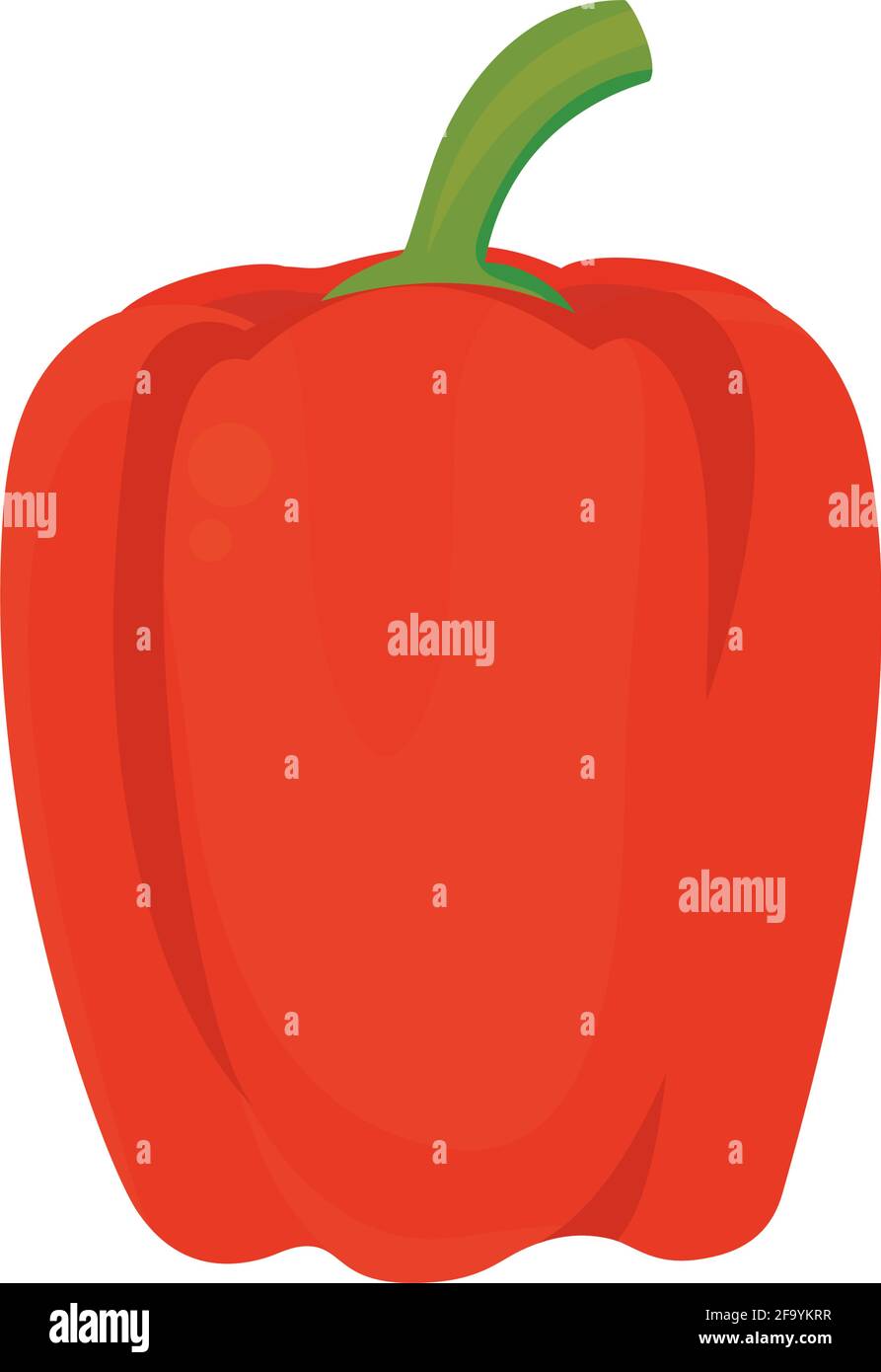 red pepper on white background Stock Vector Image & Art - Alamy
