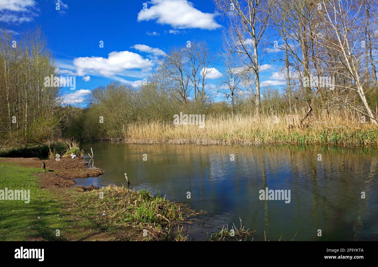 Rich invertibrate fauna hi-res stock photography and images - Alamy
