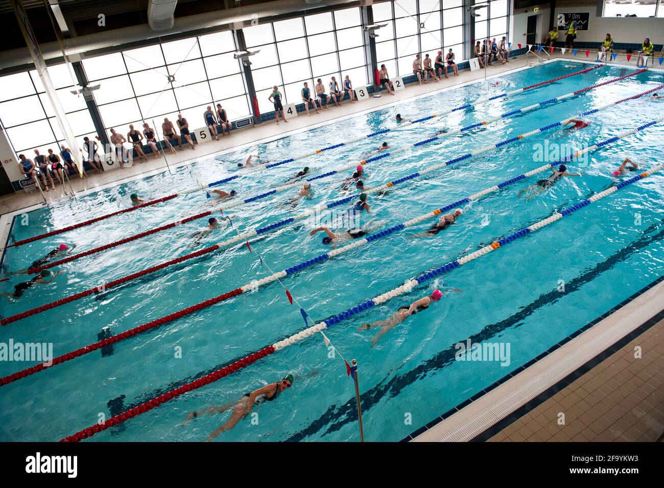 Swimming gala hi-res stock photography and images - Alamy