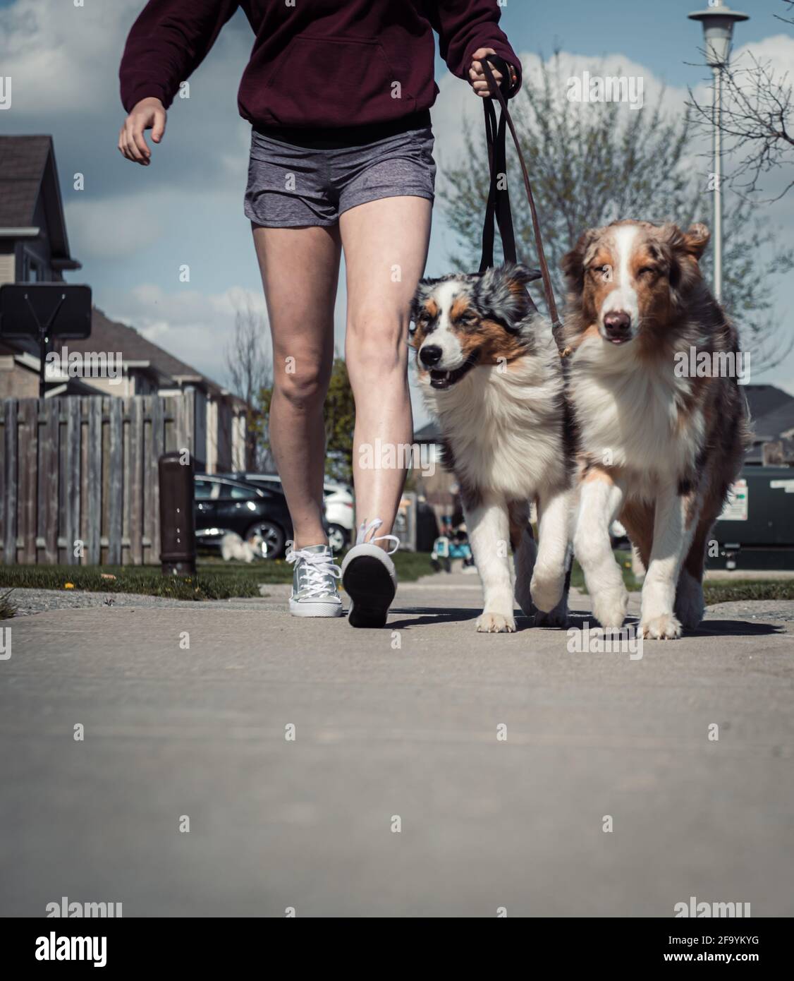 Spring day Activities during lockdown Stock Photo - Alamy