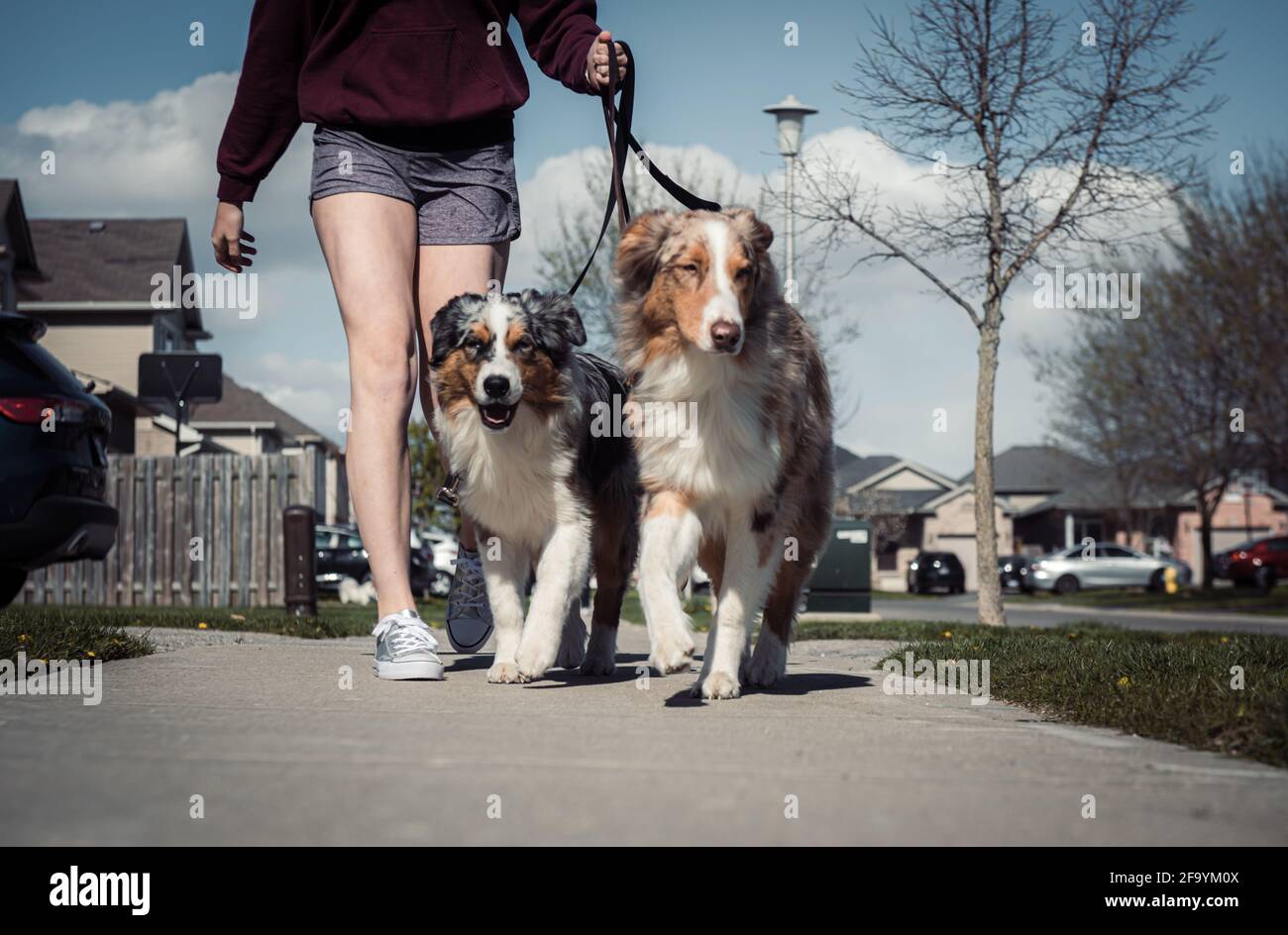 Spring day Activities during lockdown Stock Photo - Alamy