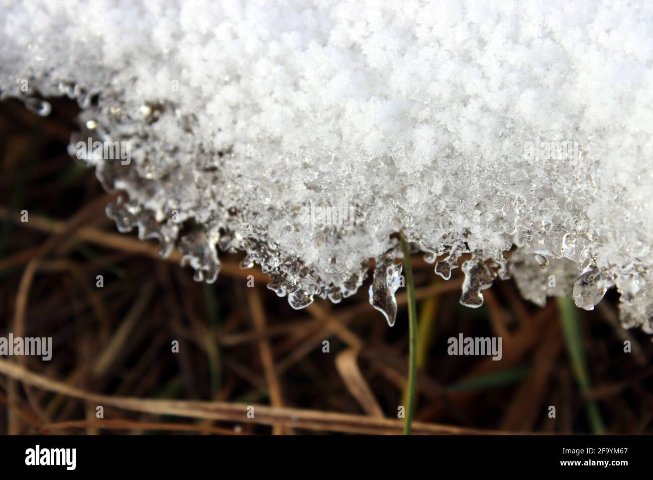 Macro photo of melting snow Stock Photo - Alamy