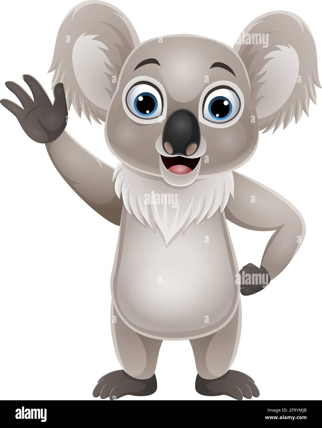 Funny Koala Cartoon