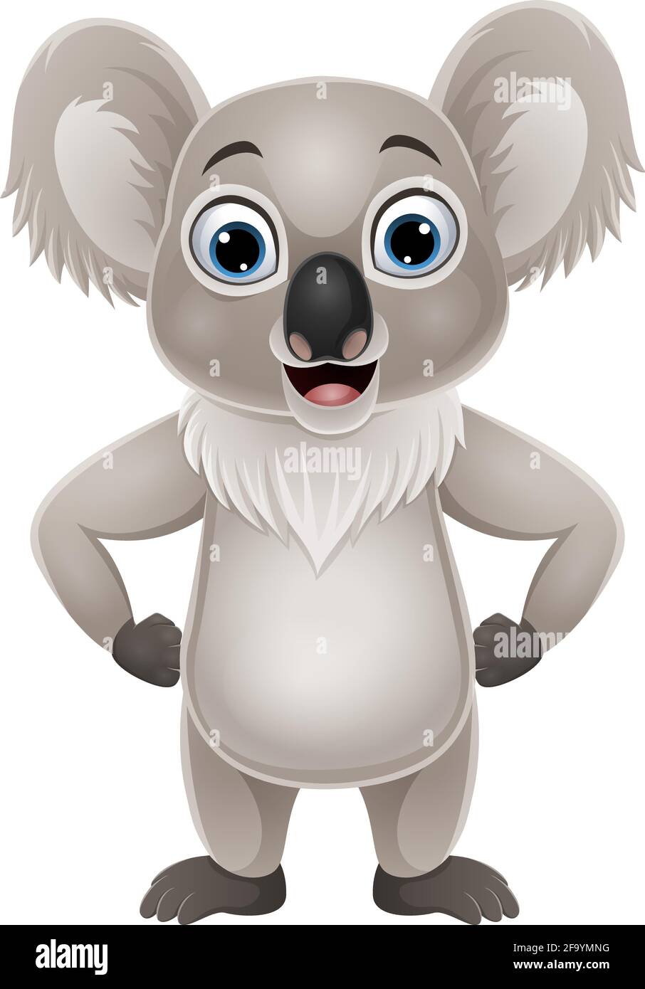 Cartoon funny little koala posing Stock Vector Image & Art - Alamy
